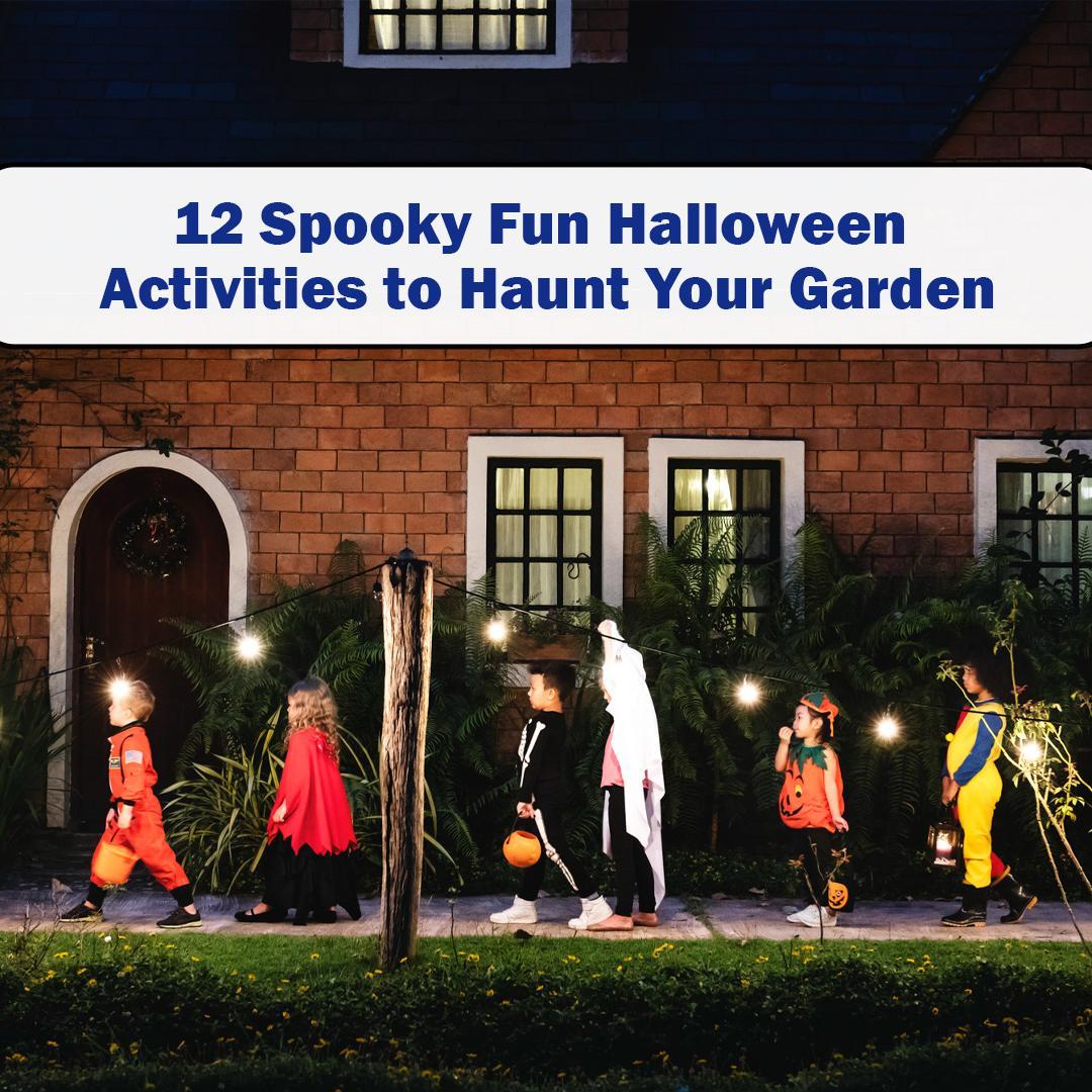 12 Spooky Fun Halloween Activities to Haunt Your Garden - Akrobat - Blogs